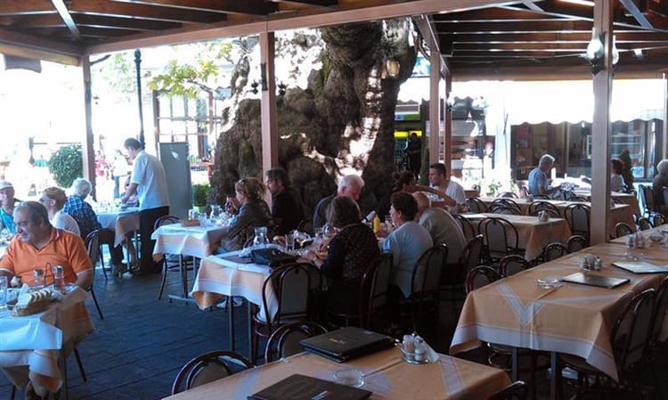 ΤΑΒΕΡΝΑ ΘΑΣΟΣ | ΔΡΟΣΙΑ - Tavernes.gr