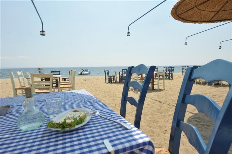 ΤΑΒΕΡΝΑ-ΟΥΖΕΡΙ ΓΕΡΑΚΙΝΗ ΠΟΛΥΓΥΡΟΣ | OASIS - Tavernes.gr