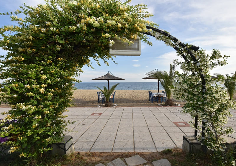 ΤΑΒΕΡΝΑ-ΟΥΖΕΡΙ ΓΕΡΑΚΙΝΗ ΠΟΛΥΓΥΡΟΣ | OASIS - Tavernes.gr
