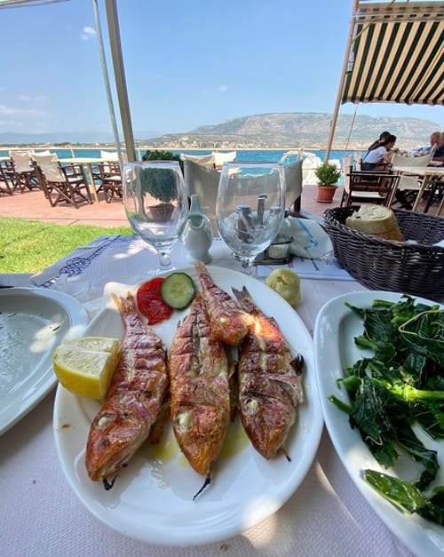 ΨΑΡΟΤΑΒΕΡΝΑ-ΟΥΖΕΡΙ ΠΛΥΤΡΑ ΛΑΚΩΝΙΑΣ | Ο ΚΑΒΟΣ - Tavernes.gr