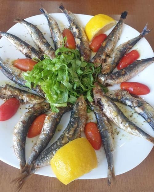 ΠΑΡΑΔΟΣΙΑΚΗ ΤΑΒΕΡΝΑ ΠΑΛΑΙΡΟΣ | KONDOS - Tavernes.gr