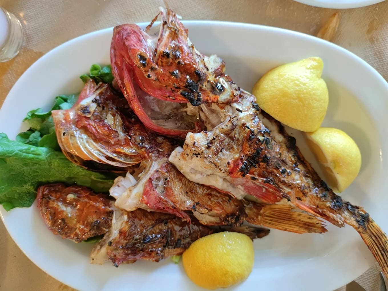 ΤΑΒΕΡΝΑ ΑΛΕΞΑΝΔΡΟΥΠΟΛΗ | ΓΕΥΣΕΙΣ ΗΛΙΑ - Tavernes.gr